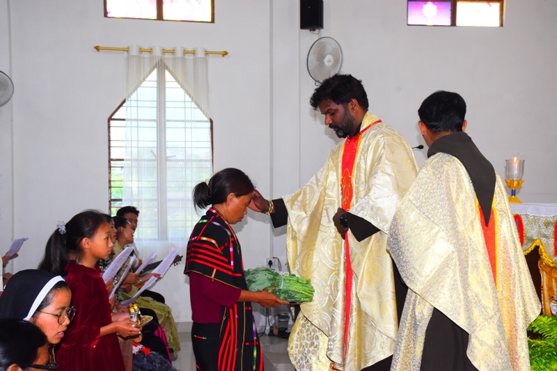 TEMPORARY PROFESSION THANKSGIVING MASS OF SR MAYA LILY AYE, UFS IN ST ...